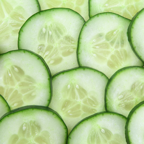 Cucumber - Organic Cucumbers at lowest prices!