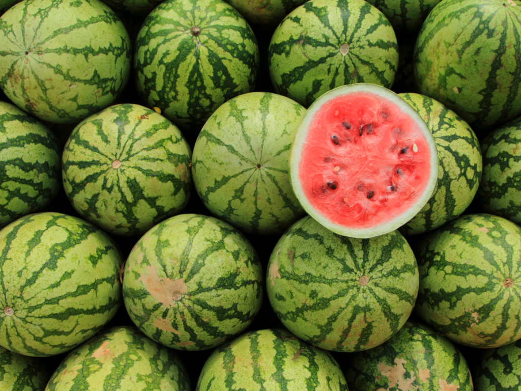 Watermelon - Organic Watermelon - Buy Organic Watermelons